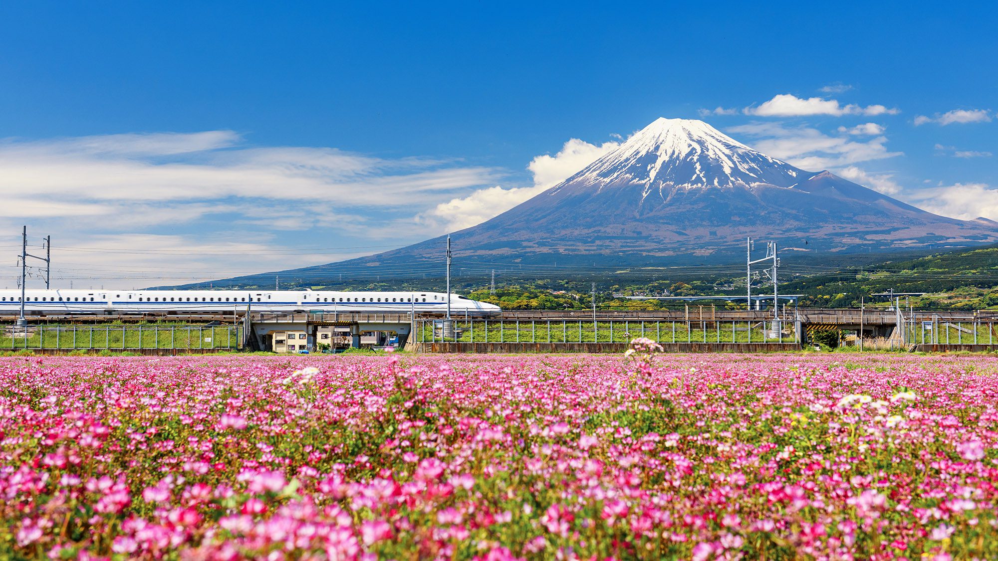 Shinkansen Bullet Train: 12 Things You Need To Know Before Riding ...